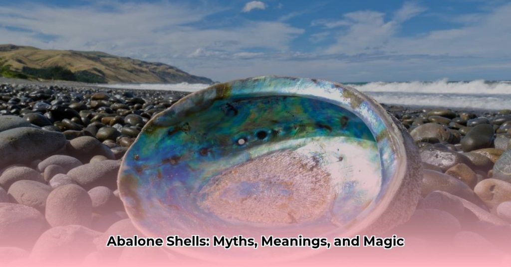 The Meaning of Abalone Shells: Symbolism, Healing, and Cultural ...