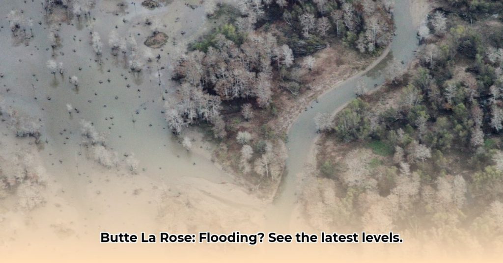 Butte La Rose Water Level: Current Conditions and Flood Stage ...