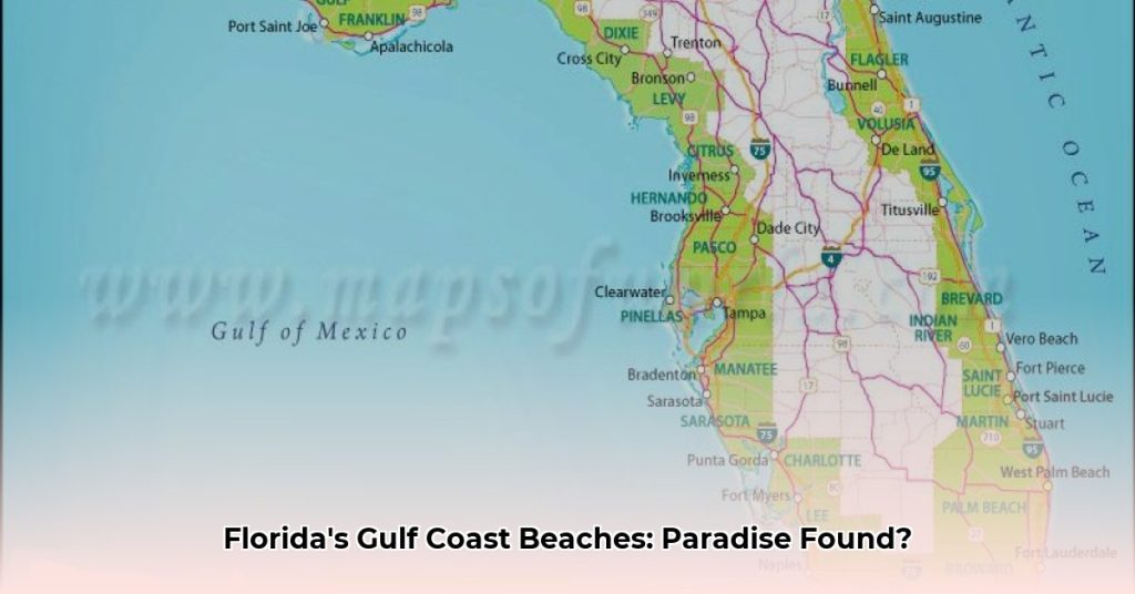 Map of Florida Beaches Gulf Side: Your Guide to Paradise - The Green Grid