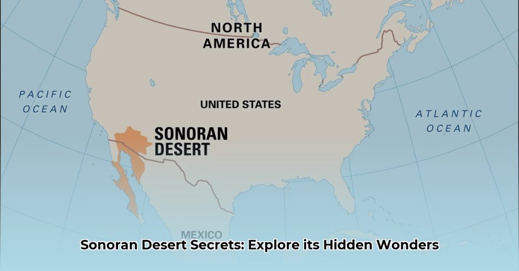 Map of the Sonoran Desert: An Interactive Guide to its Biodiversity and ...