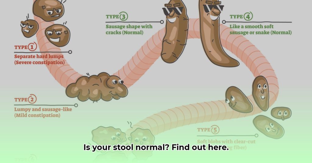 Understanding and Managing Moderate Stool Burden - The Green Grid