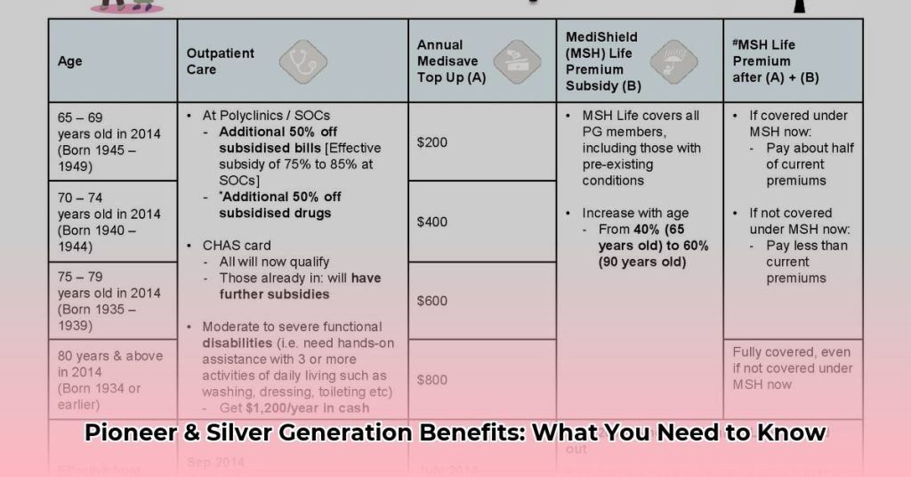 Pioneer Generation Office: Your Guide to Benefits and the Silver ...