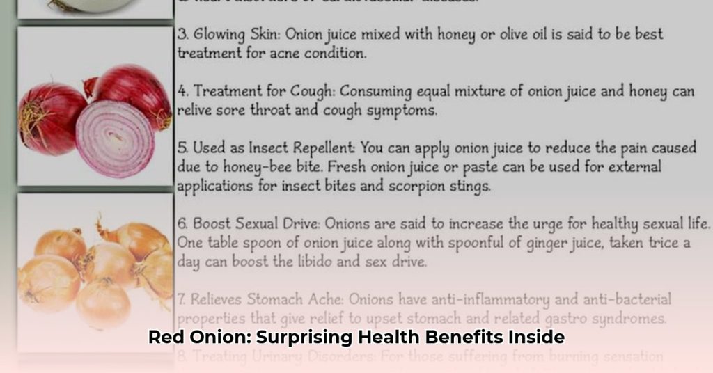Red Onion Nutrition Facts: A Comprehensive Guide to Calories, Macros ...