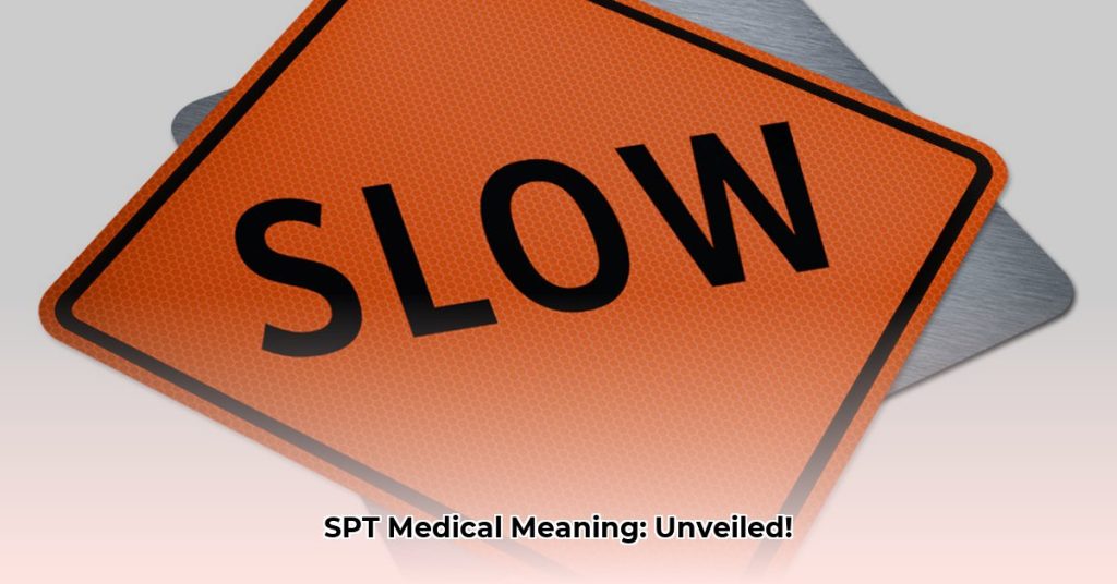 What Does SPT Stand For in Medical Terms? A Comprehensive Guide - The ...
