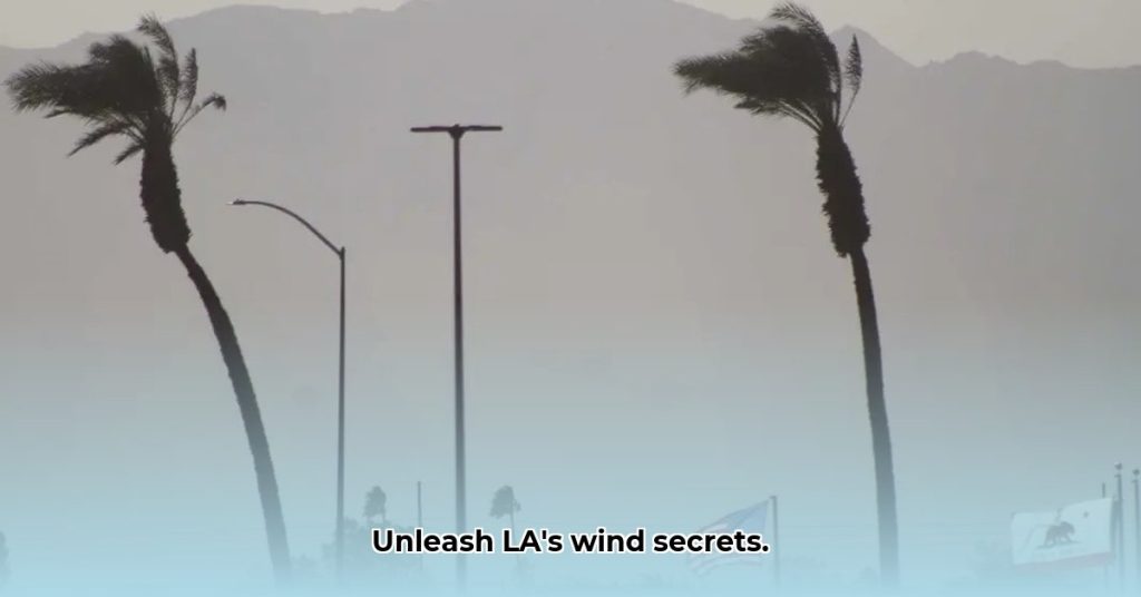 LA Wind Map: Real-time Forecasts & 7-Day Outlook - The Green Grid