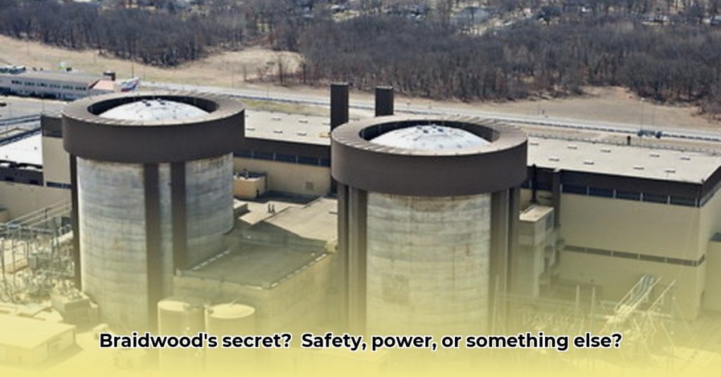 Braidwood Generating Station: Safety, Output & Community Impact - The ...
