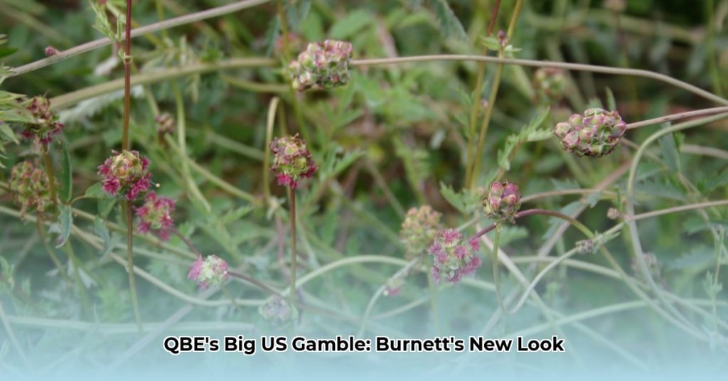 Burnett Company Rebranded: QBE's US Expansion Strategy - The Green Grid