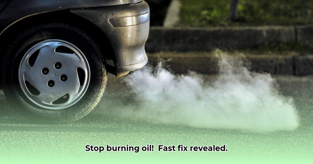 Burning Oil Solved Fast Diagnosis And Repair The Green Grid