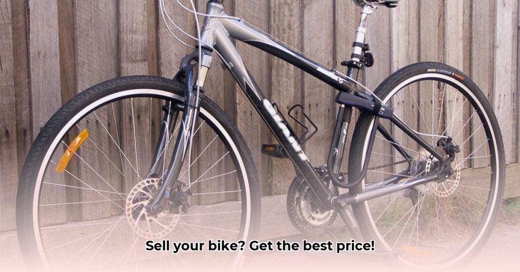 Maximize Your Bike Value: Sell Smart, Get Top Dollar - The Green Grid