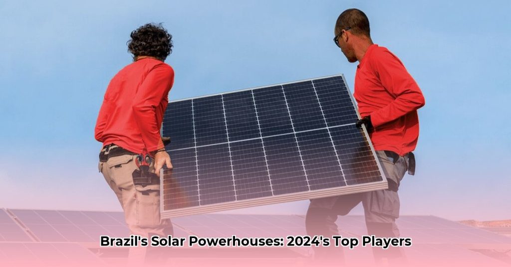 Discover Top Brazilian Solar Companies: 2024's Growth Leaders - The ...
