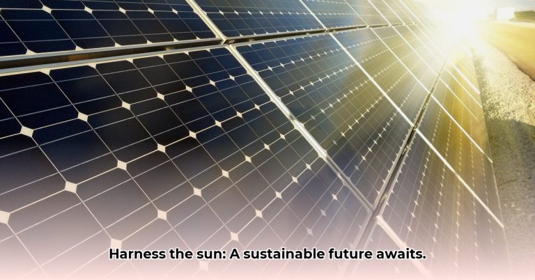 Master AP Environmental Science: Solar Energy Solutions for a ...