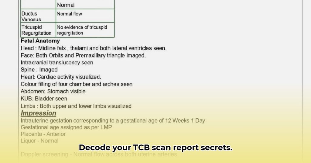 Understand TCB Scan Reports: A Complete Guide - The Green Grid